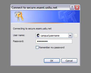 GESTU V 4.0 Gestione Esami STUdenti ---- Università della Svizzera ...